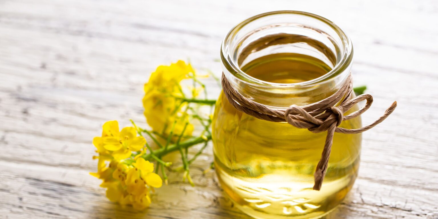 Cast Iron Seasoning Oils 101: Everything You Need to Know - Cult of ...